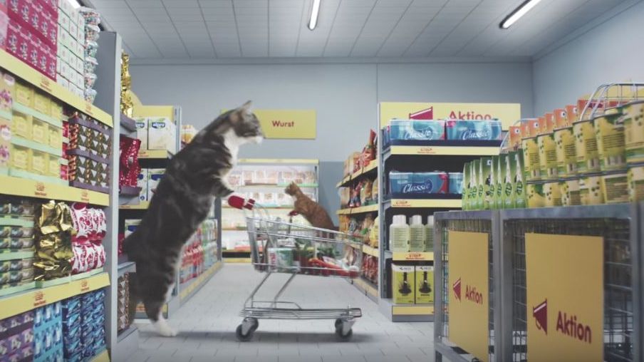 NETTO-Katzen | Deutsch Online